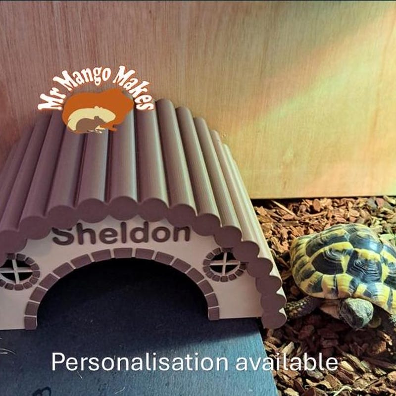 Clothing for Tortoises - Etsy