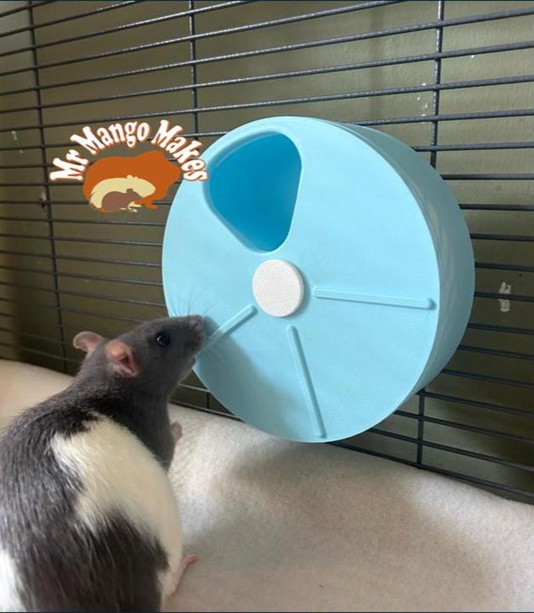Round Foraging Wheel, Rat Foraging Wheel, Rat Enrichment Toy, Bird ...