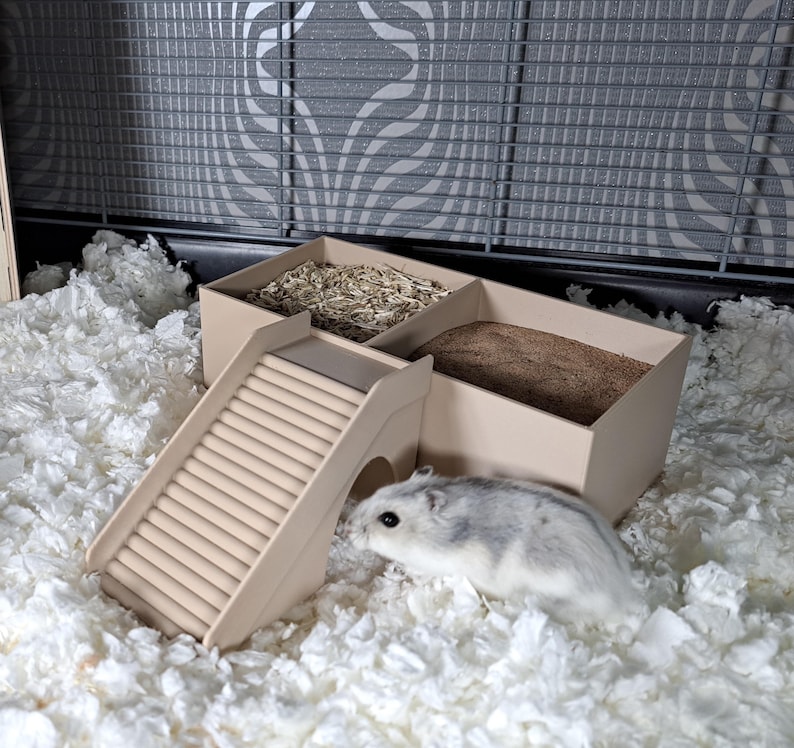 Hamster Dig Box, Sand Bath, Sand Box, Hamster Stairs, Hamster Ladder ...