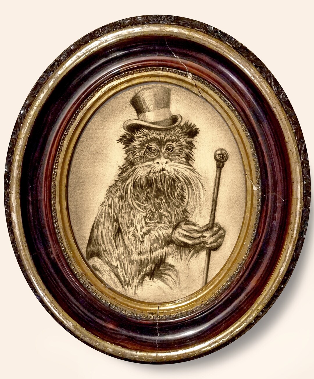 Emperor Tamarin, Monkey Drawing, Monkey Print, Monkey Wall Art, Vintage ...