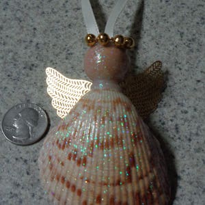 Medium Iridescent Heart Cockle Shell Angel Christmas Tree Ornament ...