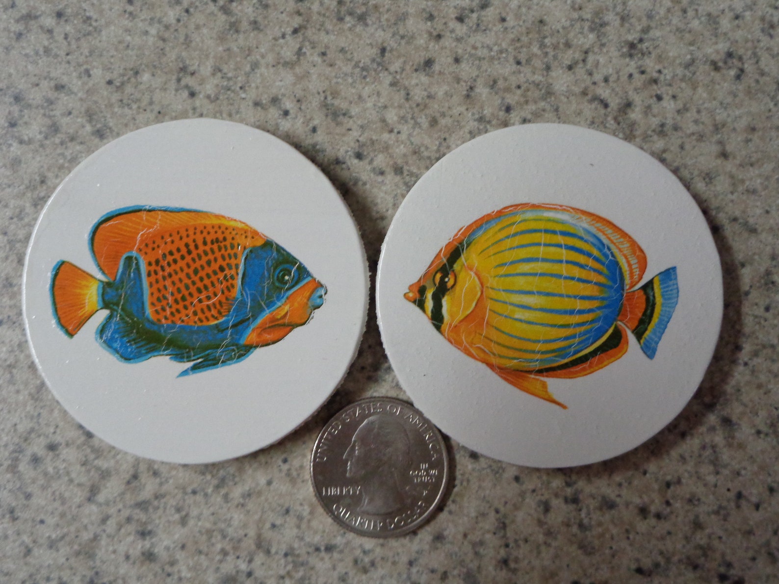 Set of 2 Fish on White Wood Circle Magnets - Kitchen Decor - Etsy