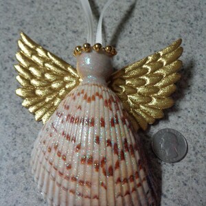 Extra Large Iridescent Heart Cockle Shell Angel Christmas Tree Ornament ...