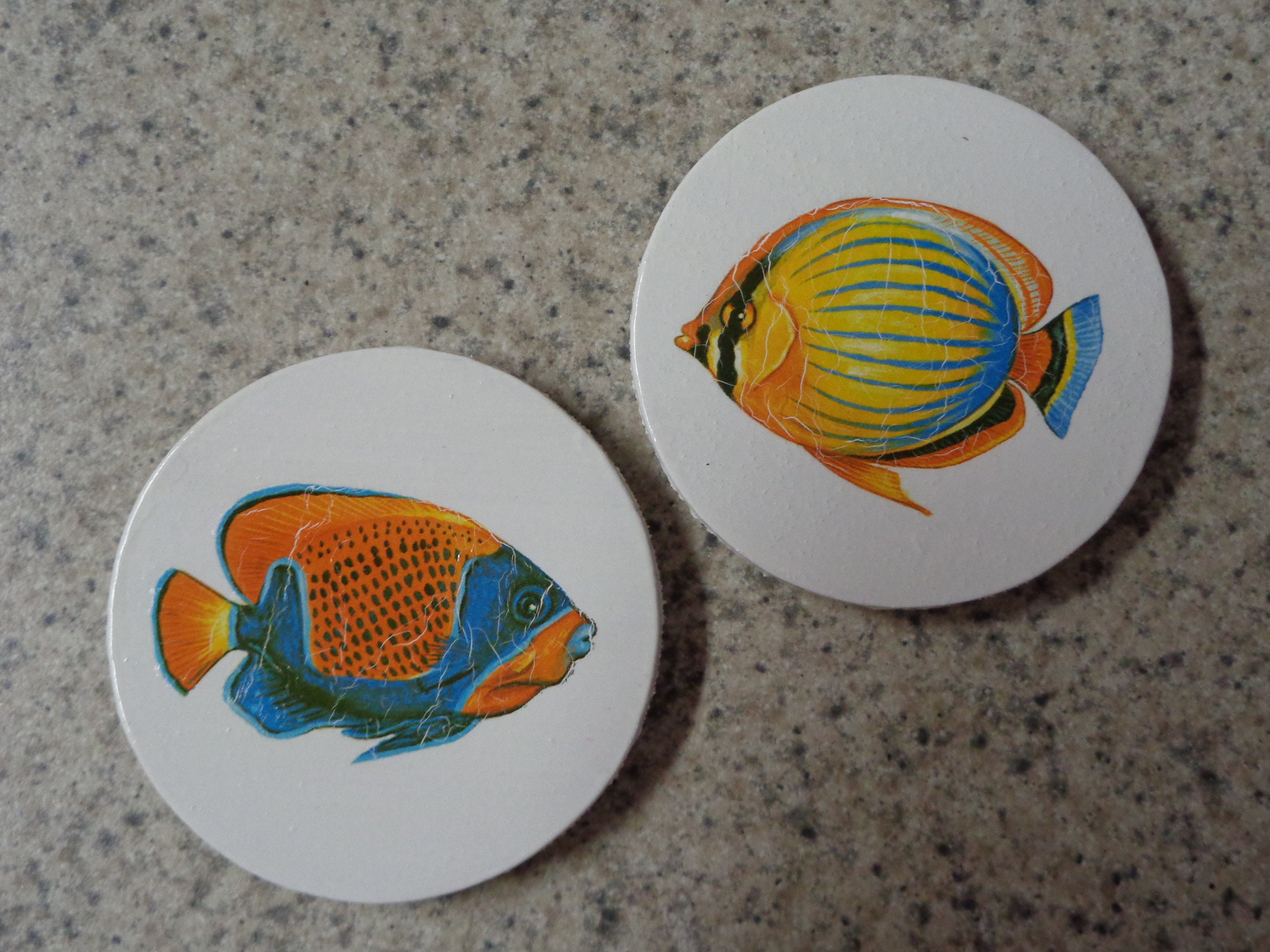 Set of 2 Fish on White Wood Circle Magnets Kitchen Decor | Etsy