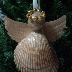 Large Iridescent Heart Cockle Shell Angel Christmas Tree Ornament ...