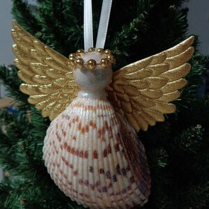 Extra Large Iridescent Heart Cockle Shell Angel Christmas Tree Ornament ...