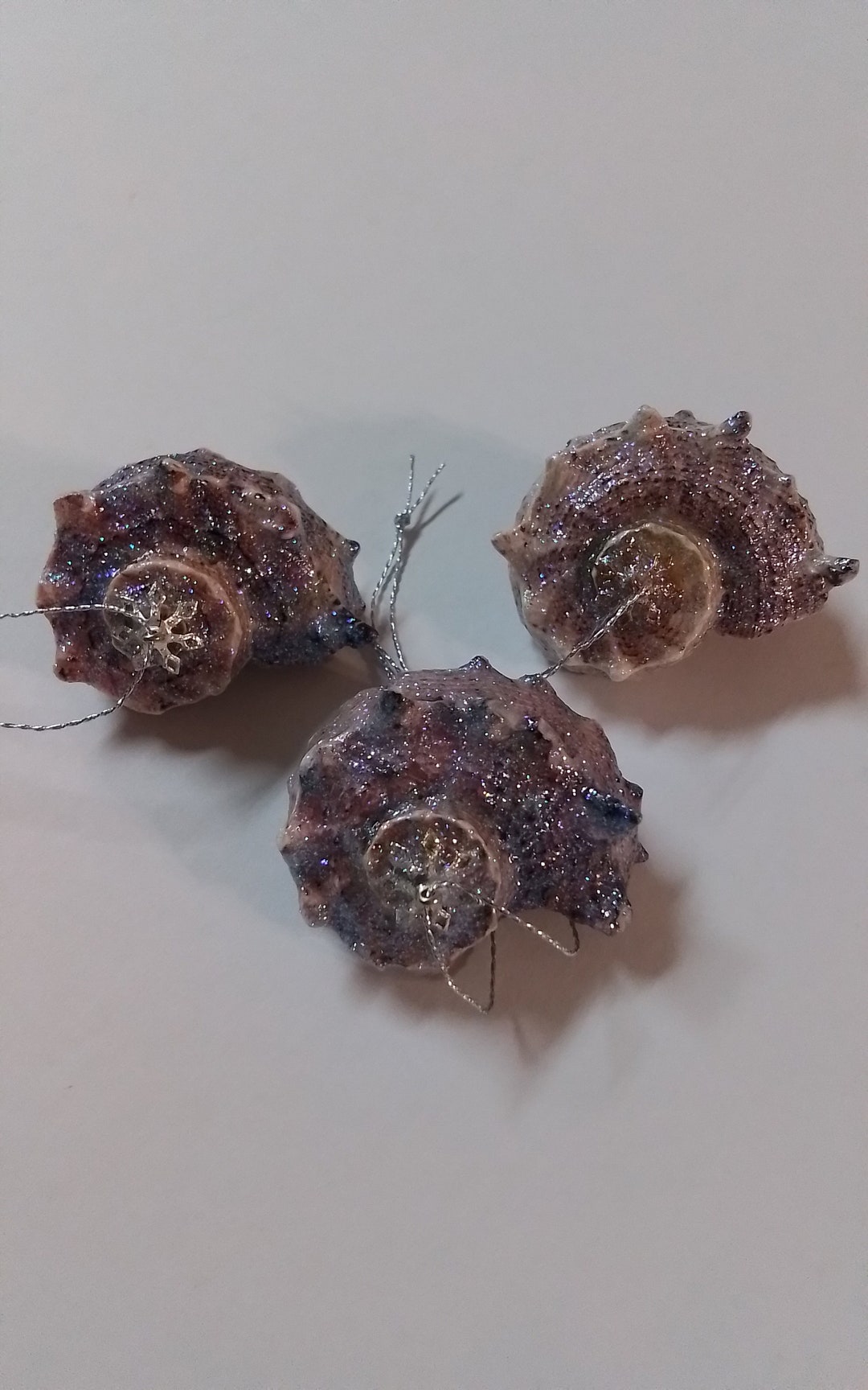 Set of 3 Iridescent Shell Christmas Tree Ornaments, Beach Tree ...