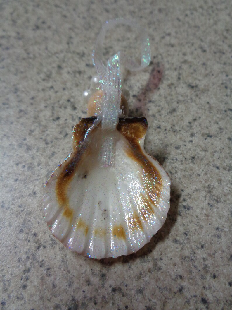 Small Iridescent Pectin Shell Angel Christmas Tree Ornament - Etsy