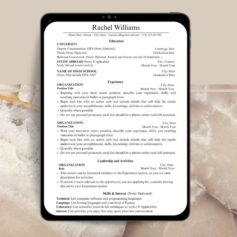 Harvard Style Resume Template | Professional CV Template | Minimalist ...