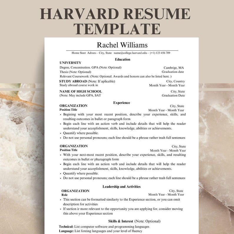 Harvard Style Resume Template | Professional CV Template | Minimalist ...