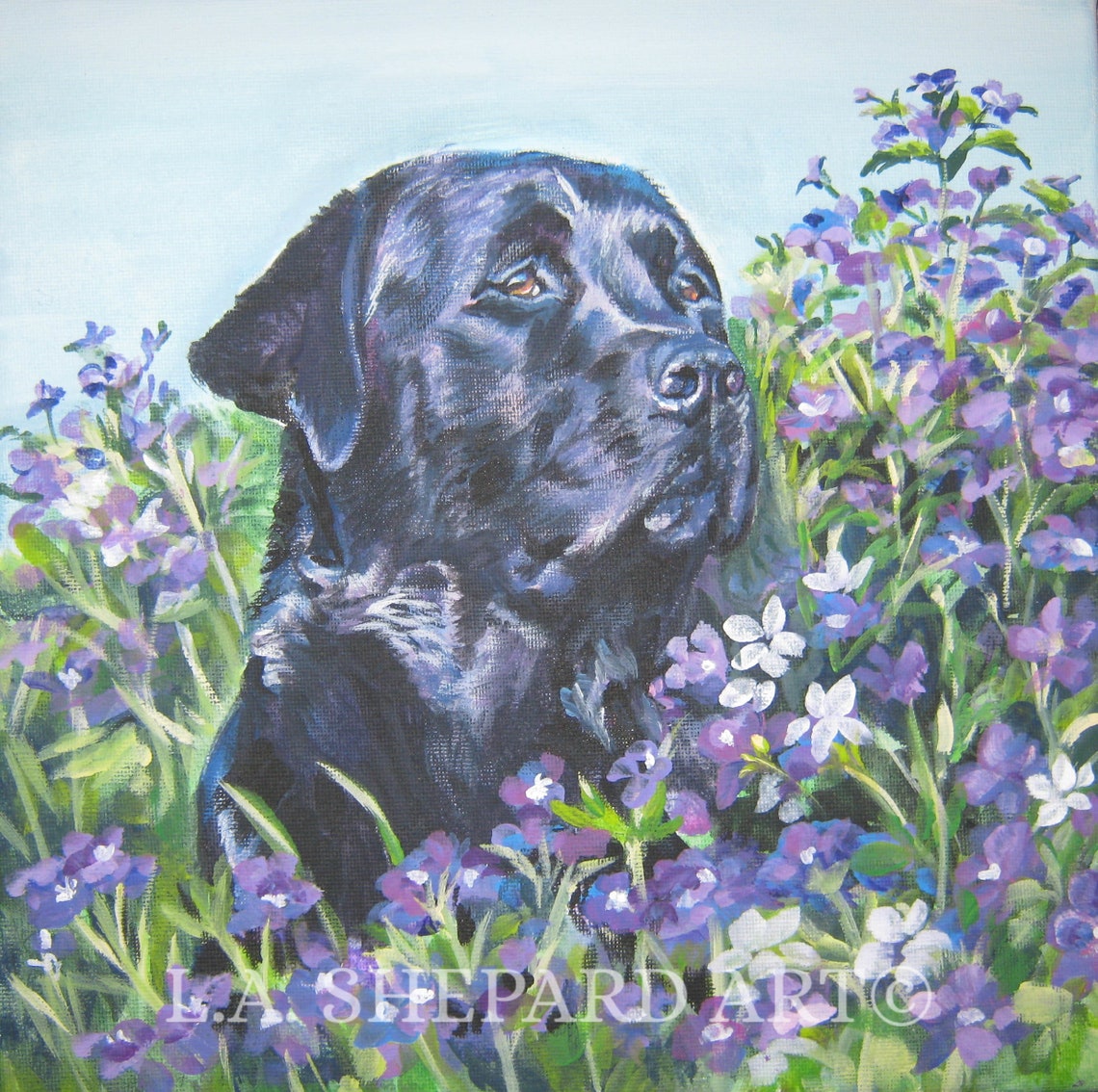 Labrador Retriever BLACK LAB Dog Portrait Art Canvas PRINT of - Etsy