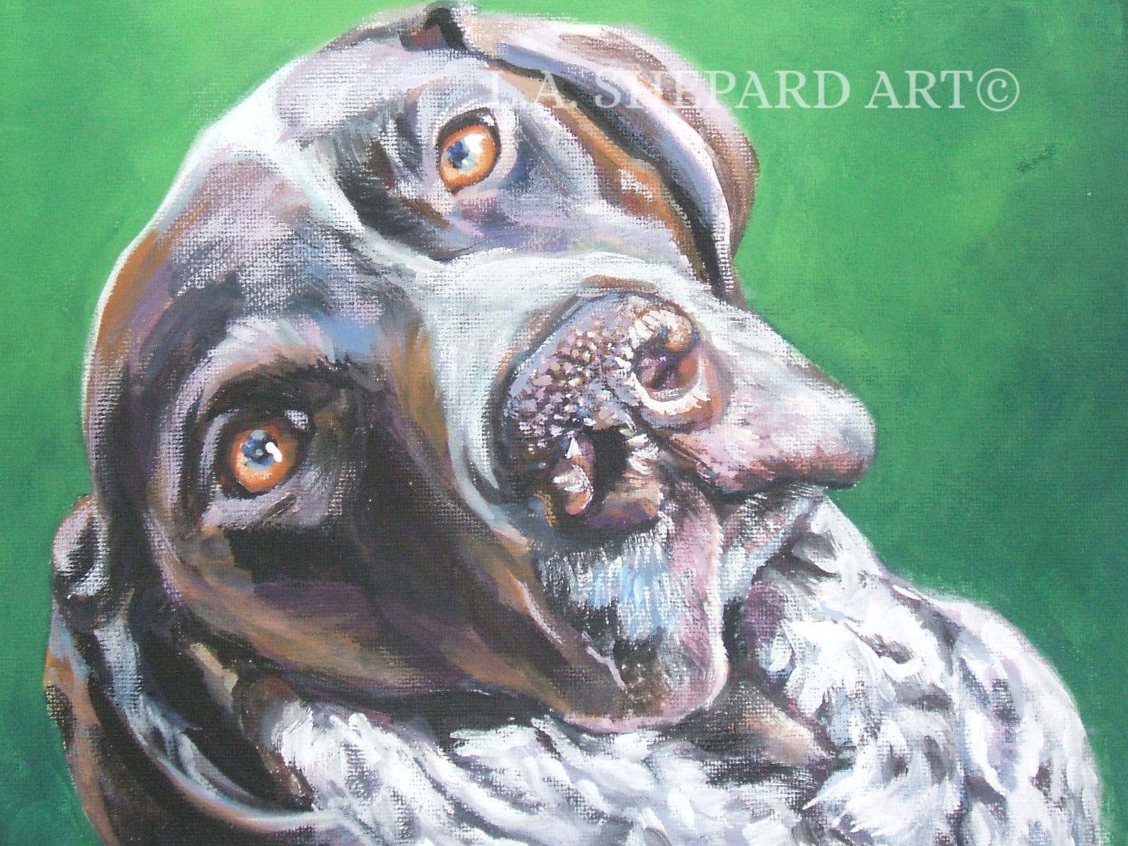 GSP German Shorthaired POINTER Dog Portrait ART Print of - Etsy