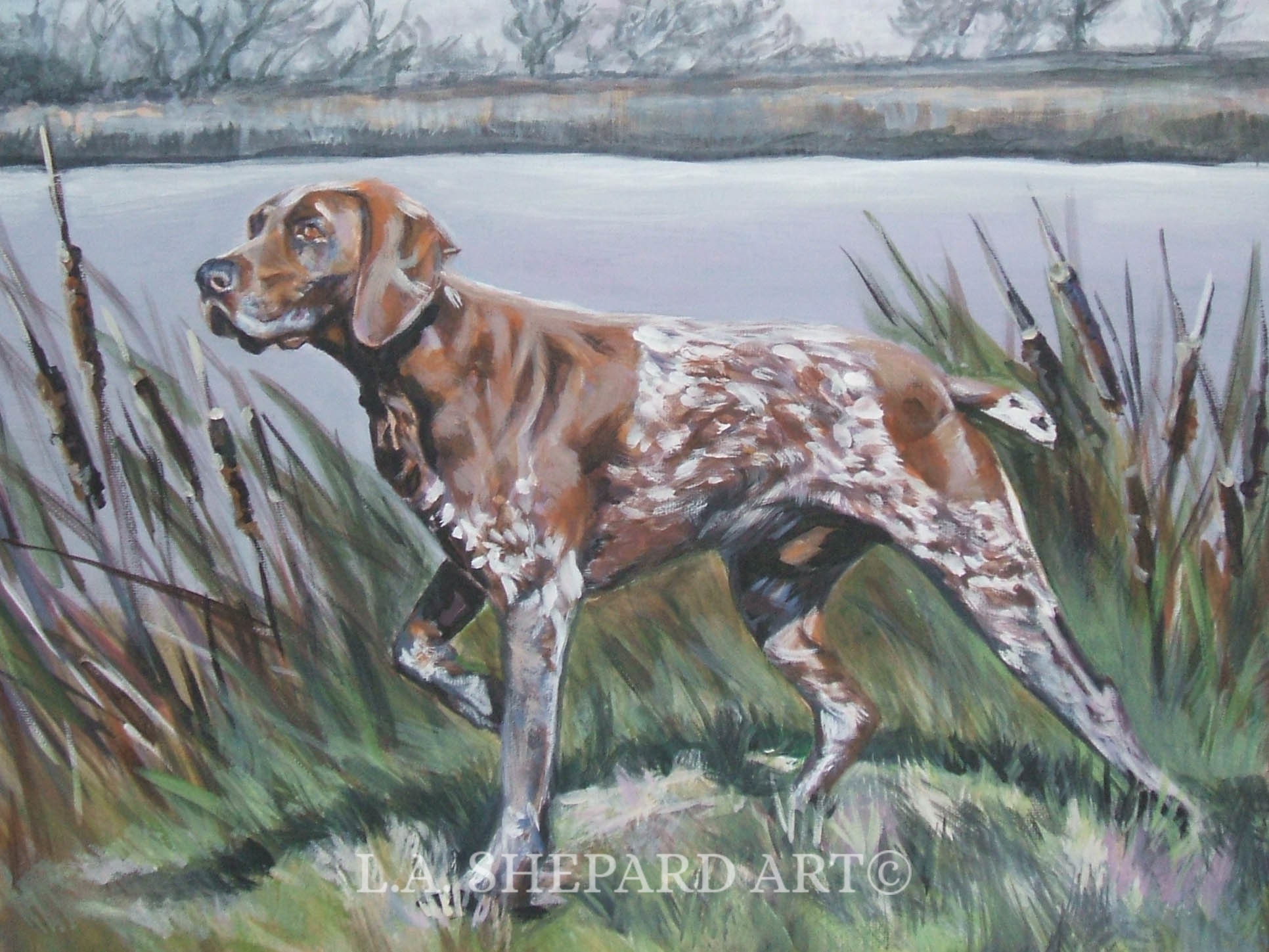 GSP German Shorthaired Pointer Dog ART PRINT of Lashepard - Etsy