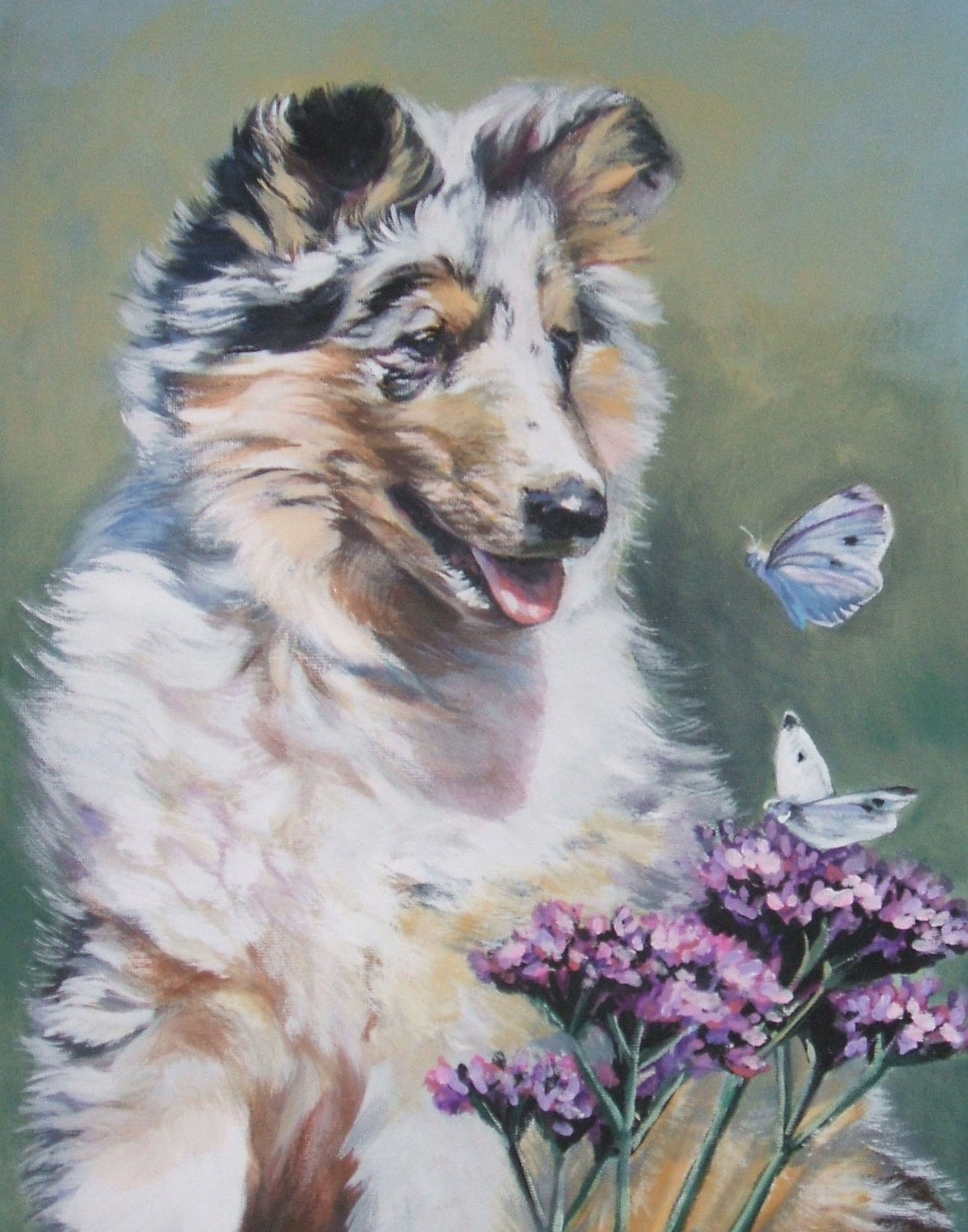 Rough Collie Art Portrait CANVAS Print of LA Shepard Painting 11x14 Dog ...