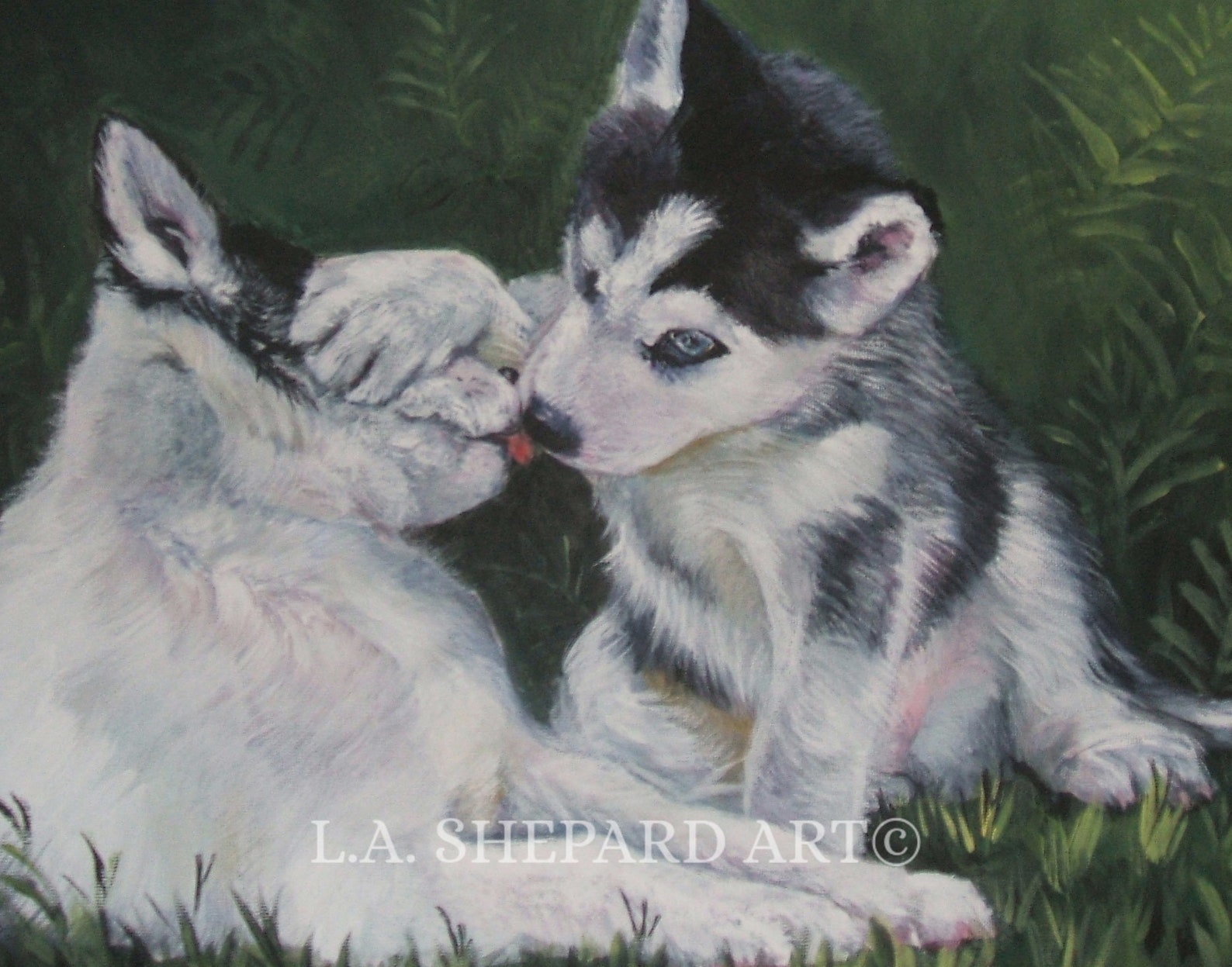 Siberian HUSKY Dog ART Canvas PRINT of Lashepard Painting 8x10 - Etsy