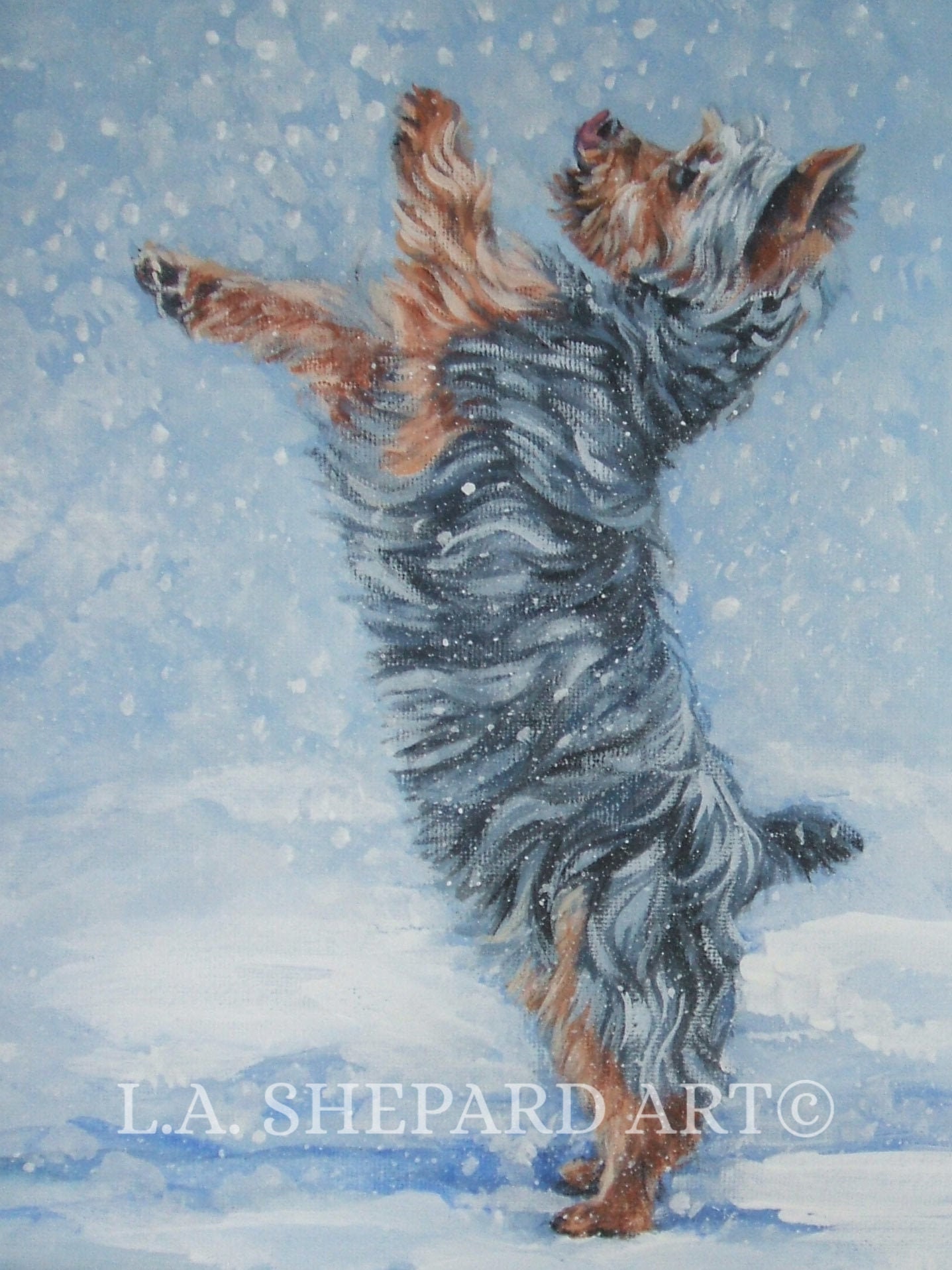 Yorkshire Terrier YORKIE Dog ART Canvas PRINT of Lashepard Painting ...