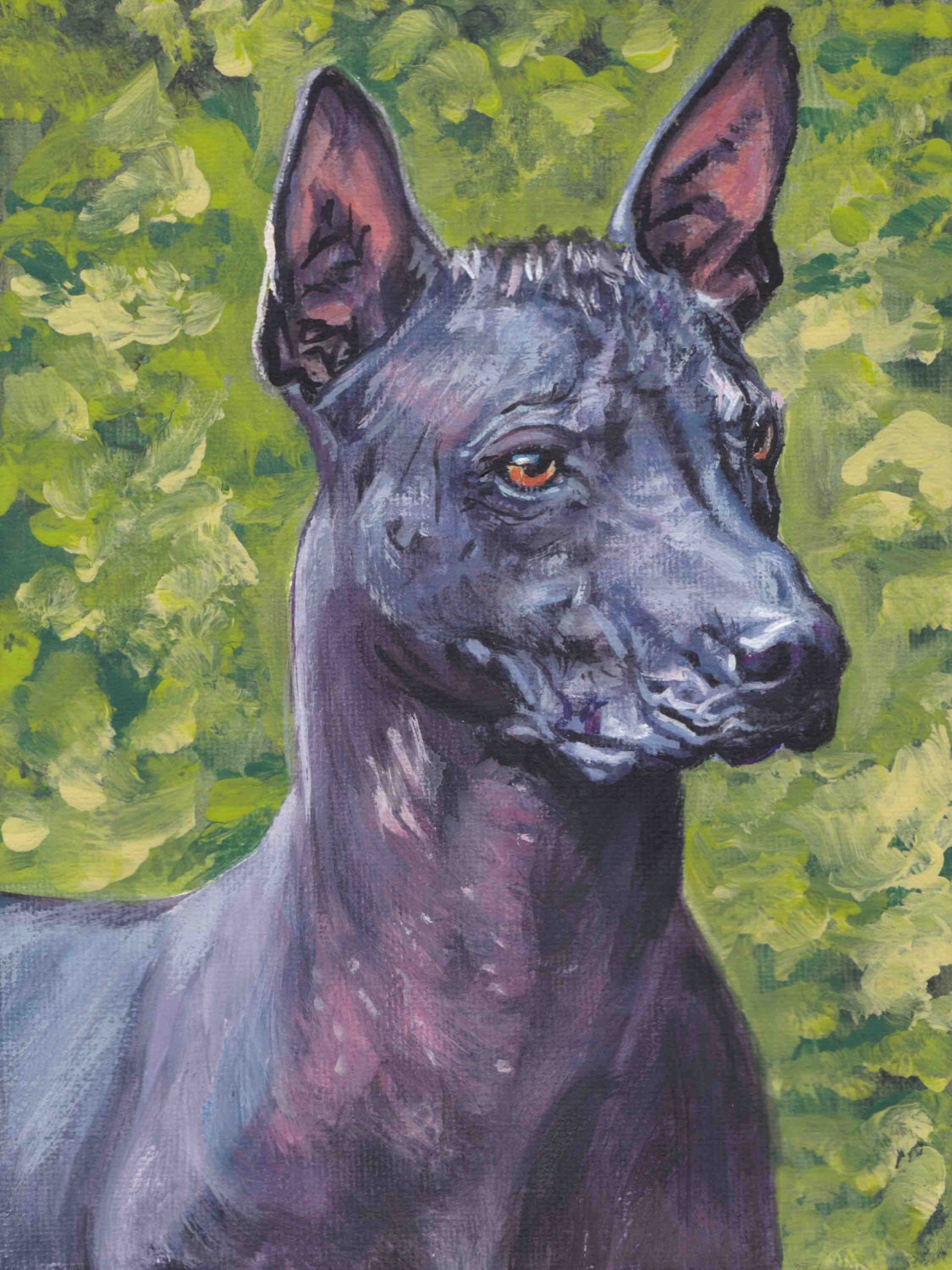 Standard Xoloitzcuintli Puppy