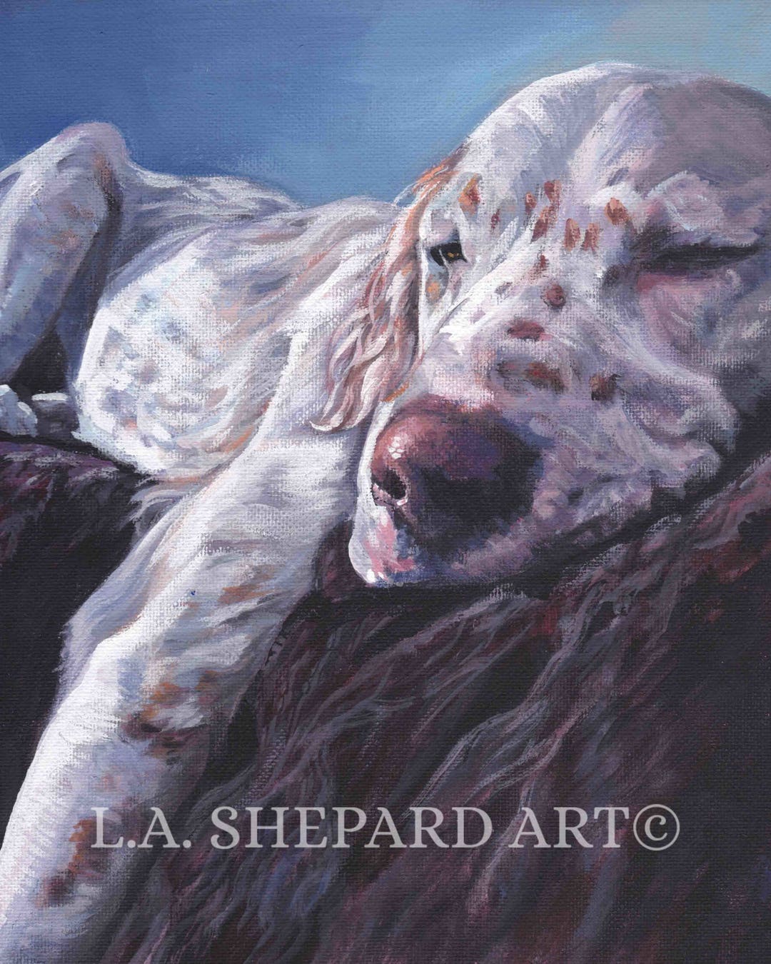 ENGLISH SETTER Dog Art Portrait Canvas PRINT of Lashepard Painting 8x10 ...