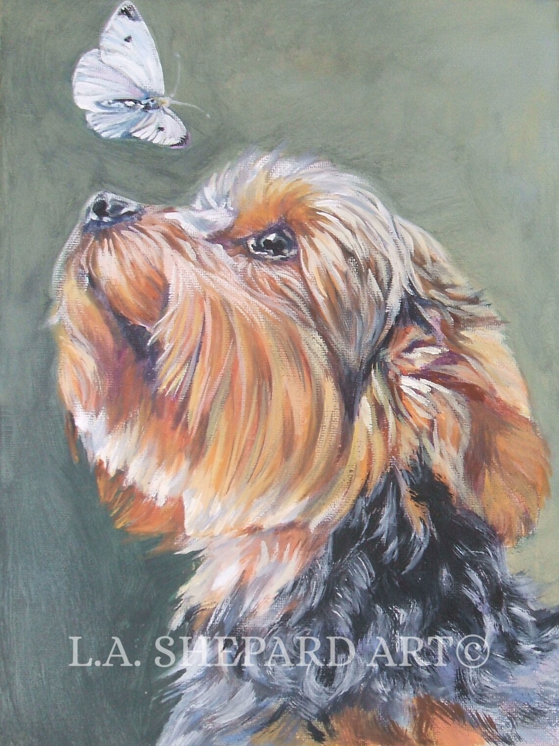 Yorkshire Terrier YORKIE Dog Portrait Art Canvas PRINT of Lashepard ...