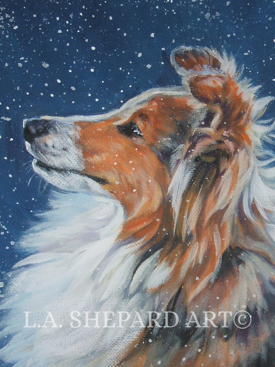 SHETLAND SHEEPDOG Sheltie Dog Art Canvas PRINT of Lashepard Painting ...