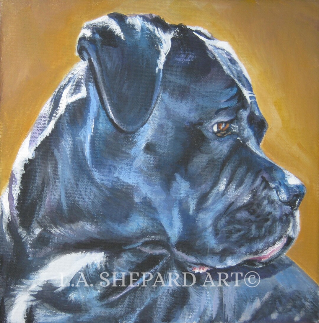 CANE CORSO Dog Art Portrait Canvas PRINT of Lashepard Painting 12x12 ...