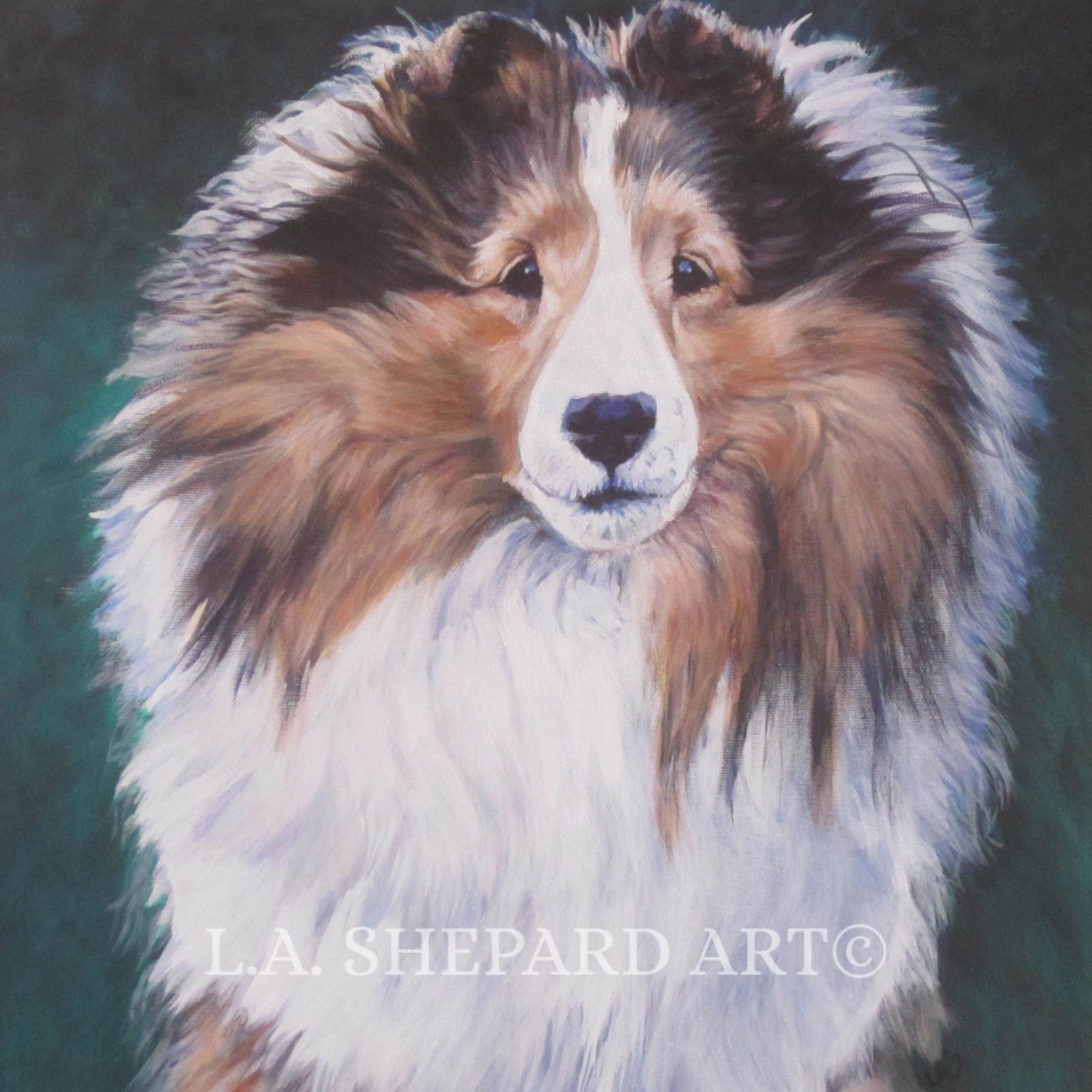Shetland Sheepdog SHELTIE Dog ART Portrait Canvas PRINT of Lashepard ...