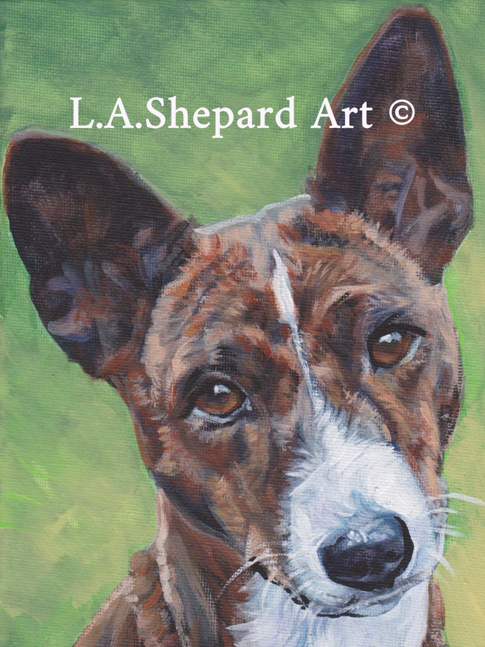 Brindle BASENJI Dog ART Portrait PRINT of Lashepard Painting 12x16" - Etsy