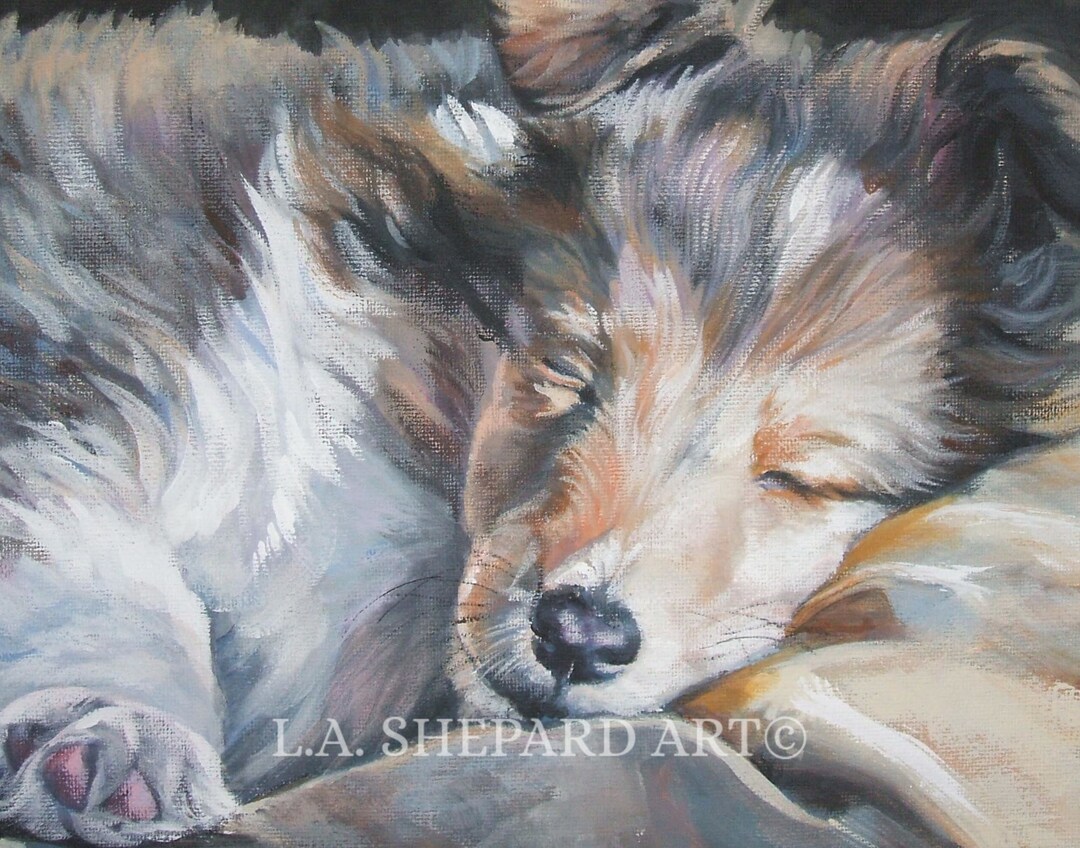 Shetland Sheepdog SHELTIE DOG Art Portrait PRINT of Lashepard Painting ...