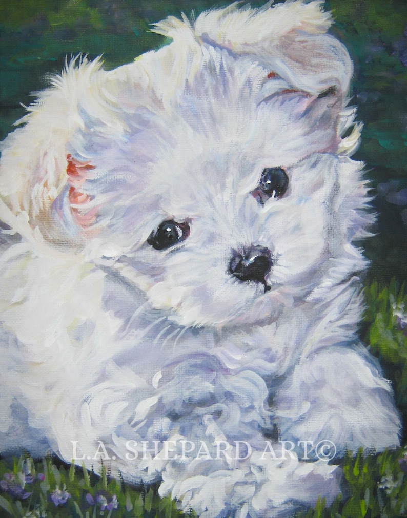 Maltese Portrait Dog Art Canvas Print of Lashepard Painting - Etsy