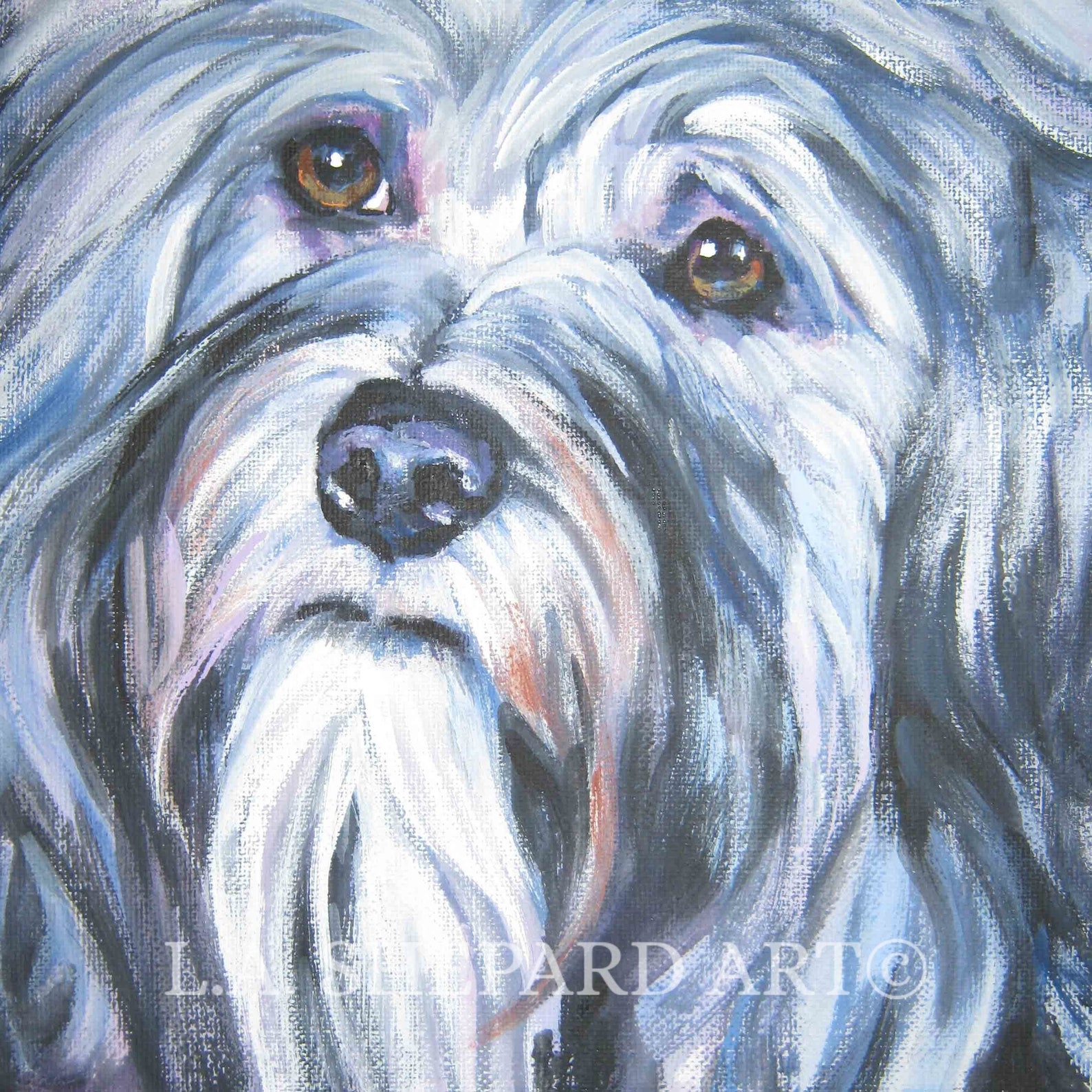 Havanese Dog Art Portrait Print of LA Shepard Painting 8x8 - Etsy