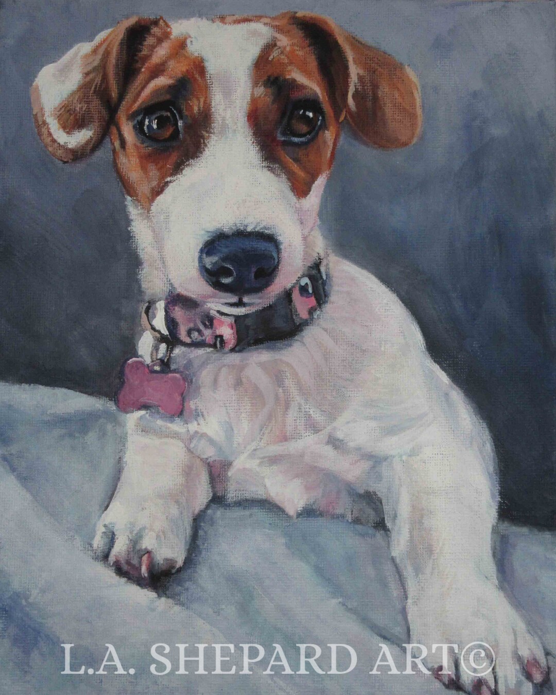 Jrt JACK RUSSELL Terrier Dog Portrait Art Canvas PRINT of Lashepard ...