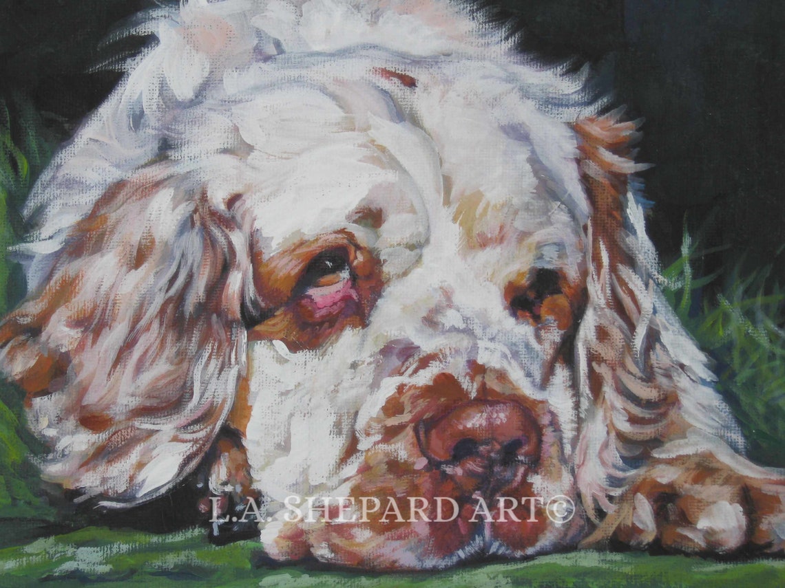CLUMBER Spaniel Dog Art PORTRAIT Canvas PRINT of Lashepard - Etsy