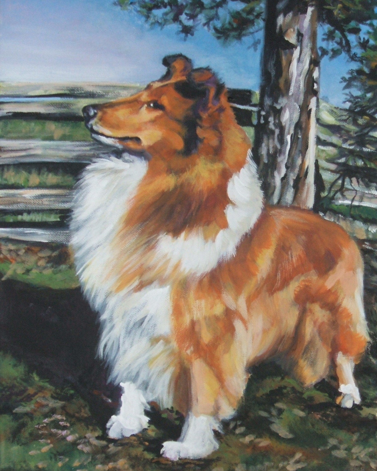 Rough Collie Dog Art CANVAS Print of LA Shepard Painting 11x14 - Etsy