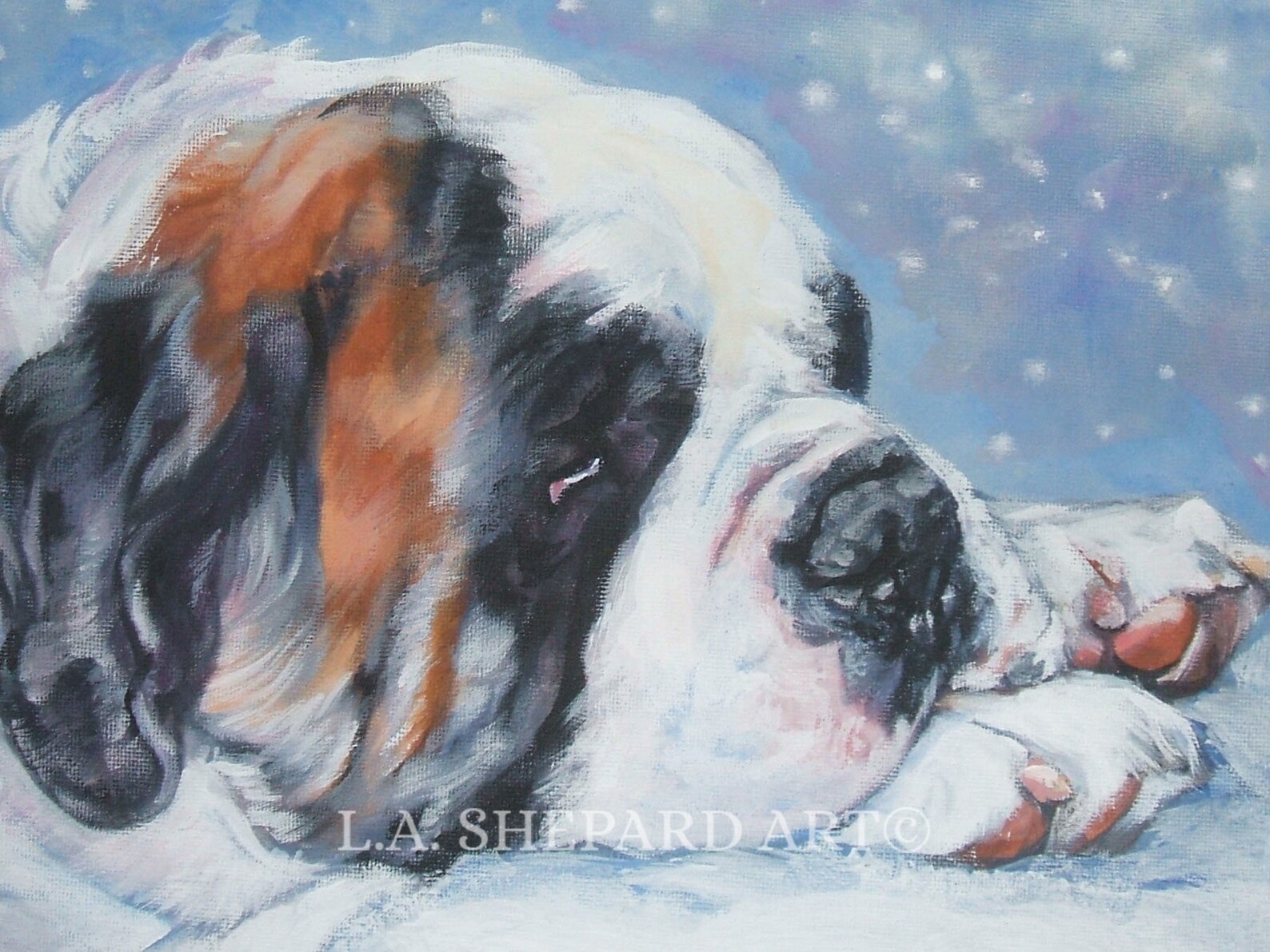 St SAINT BERNARD Dog Art Canvas PRINT of Lashepard Painting 8x10 - Etsy