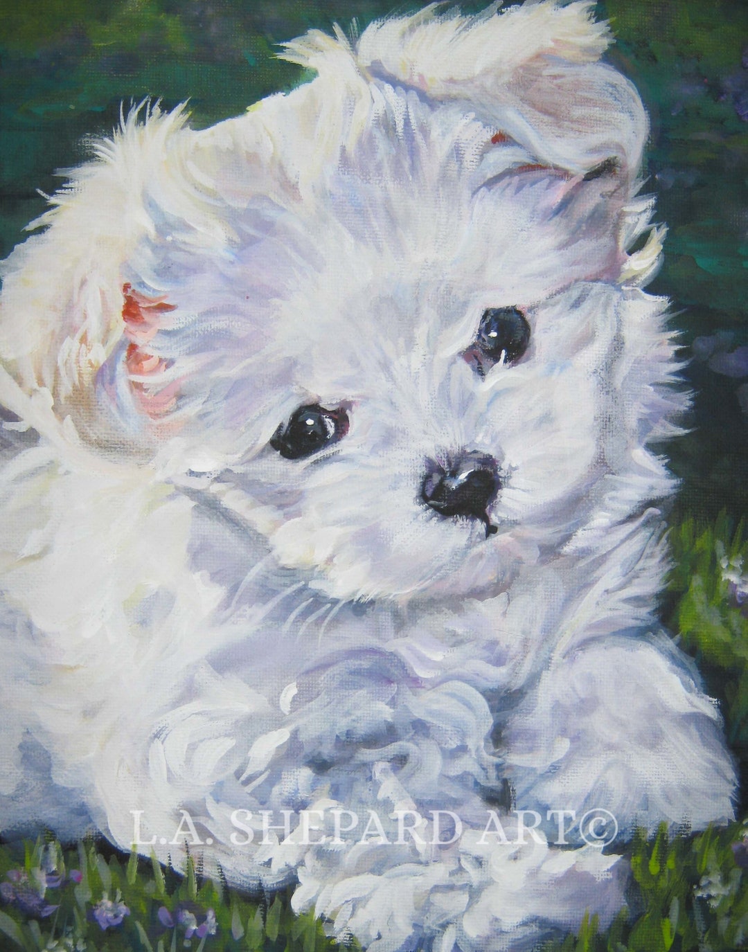 MALTESE Dog Art Portrait Canvas PRINT of LA Shepard Painting 11x14 - Etsy