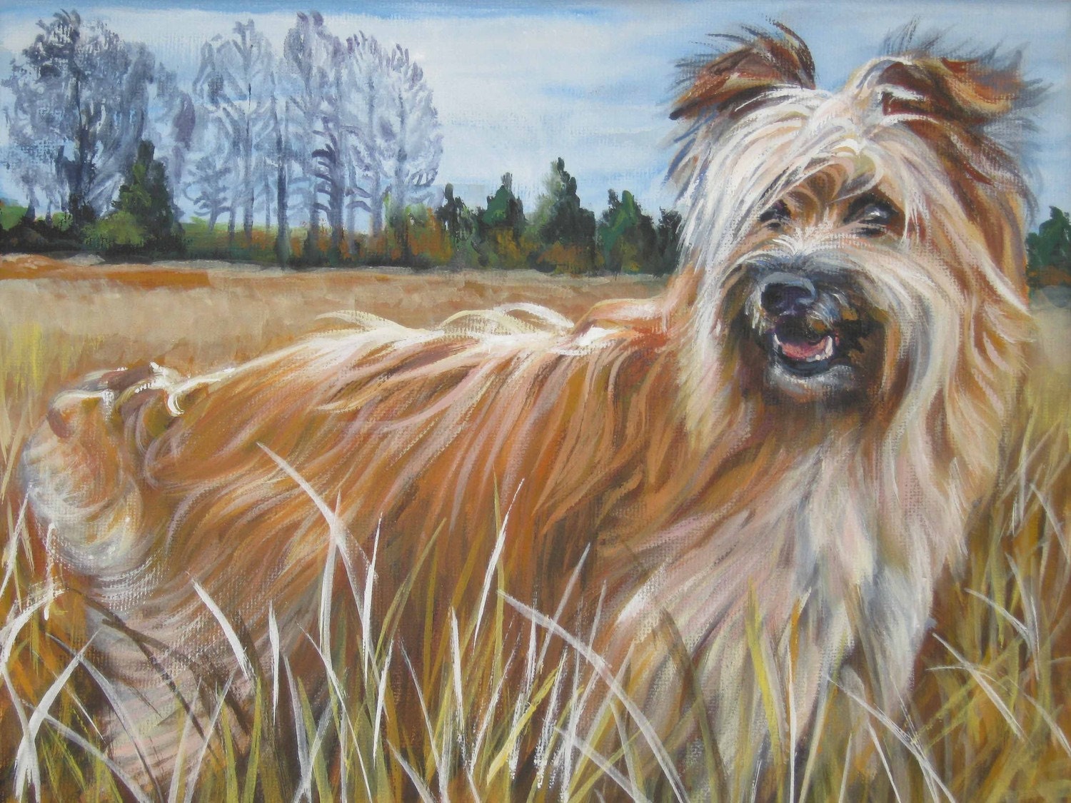 Pyrenean Shepherd Art CANVAS Print of LA Shepard Painting - Etsy