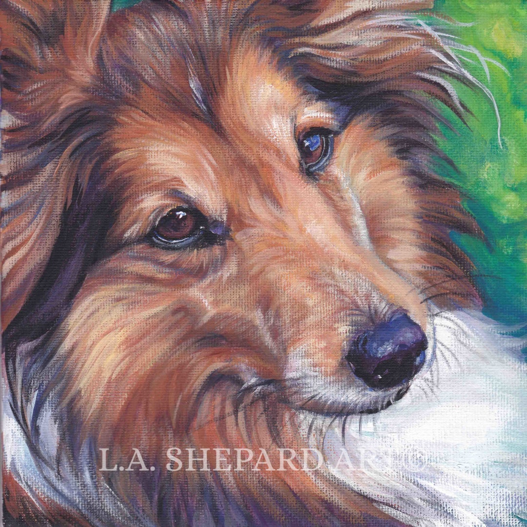Shetland Sheepdog SHELTIE Dog Portrait ART Canvas PRINT of Lashepard ...