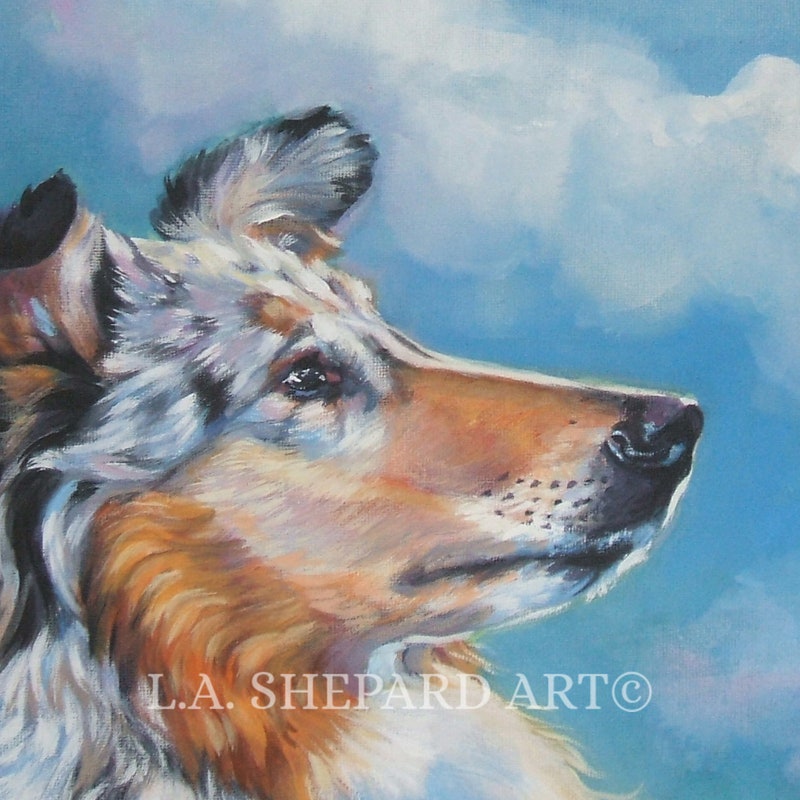 Collie Dog Art - Etsy