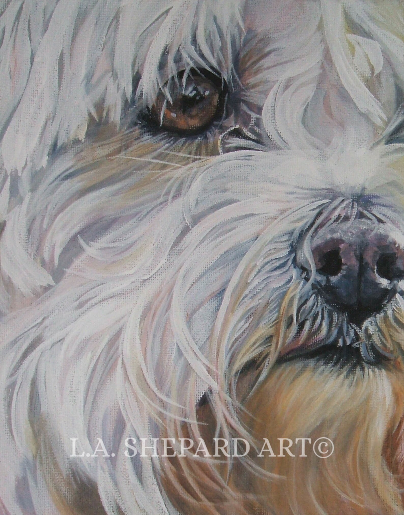 Retrato de arte de perro maltés IMPRESIÓN de la pintura de LA Shepard ...