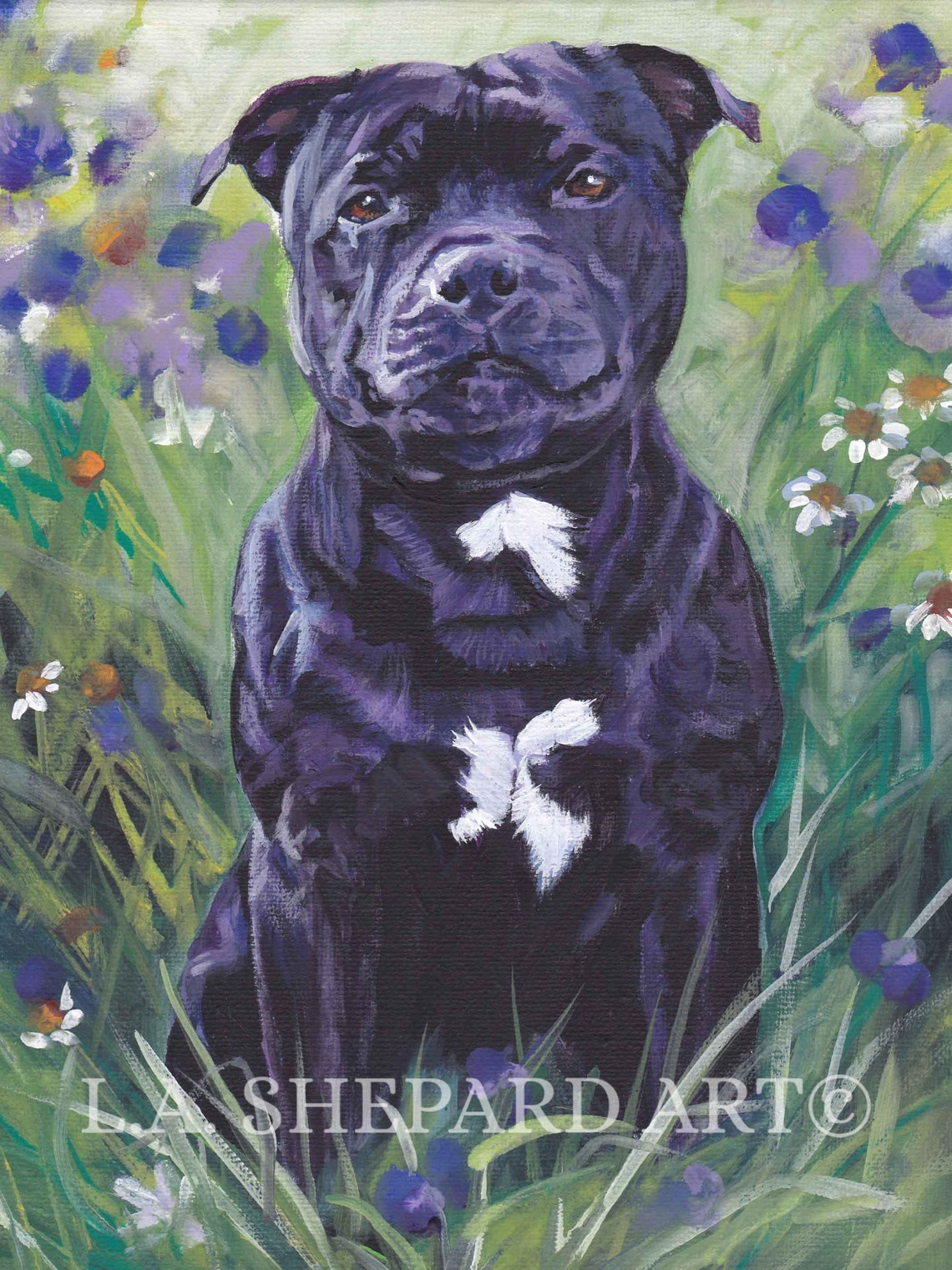 Staffordshire BULL TERRIER Dog Art Portrait Canvas PRINT of - Etsy