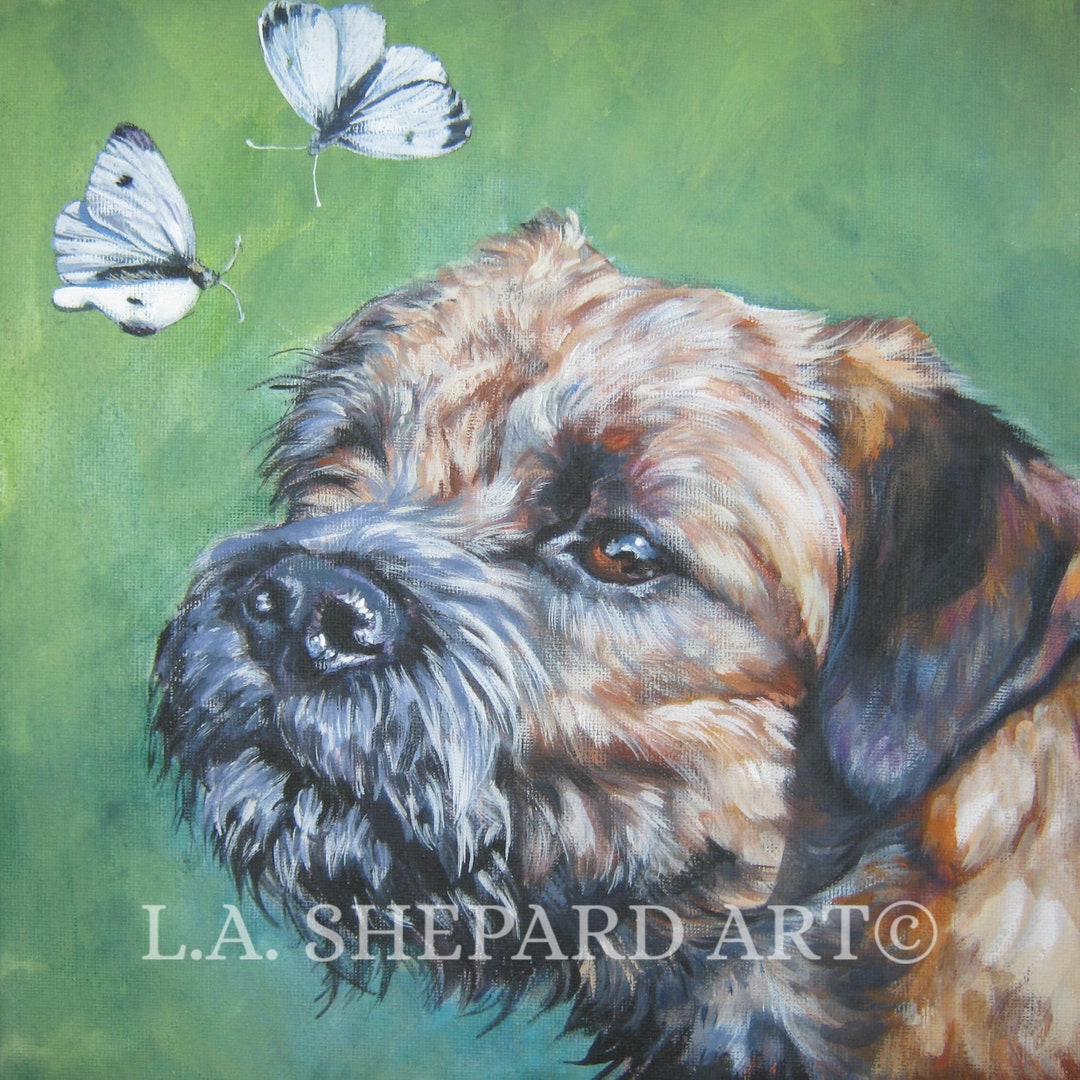 Border Terrier Dog Art Portrait Print of Lashepard Painting 8x8 - Etsy UK