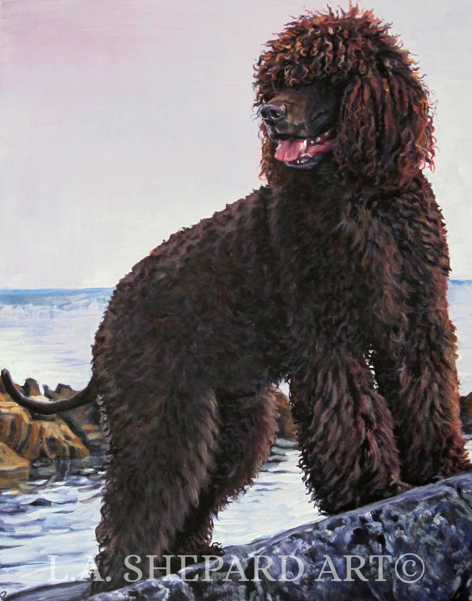 Irish Water Spaniel Dog Art PRINT of Lashepard Painting 8x10 - Etsy
