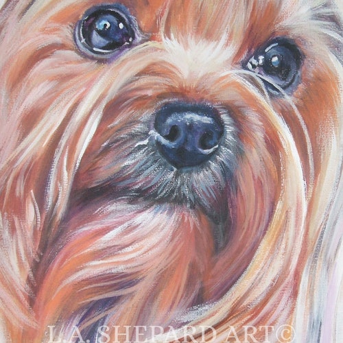 Yorkshire Terrier YORKIE Dog Portrait Art Canvas PRINT of - Etsy