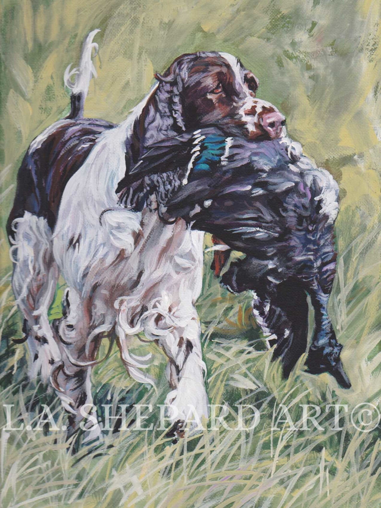 English SPRINGER Spaniel dog portrait art canvas PRINT of | Etsy