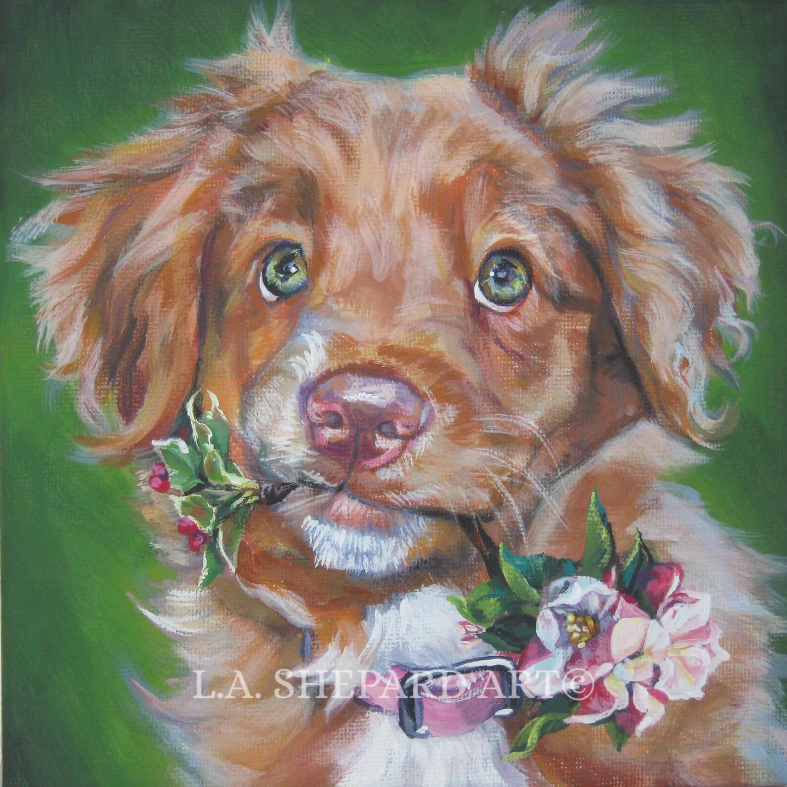 Nova Scotia Duck Tolling Retriever TOLLER Pup Dog ART Canvas PRINT of ...