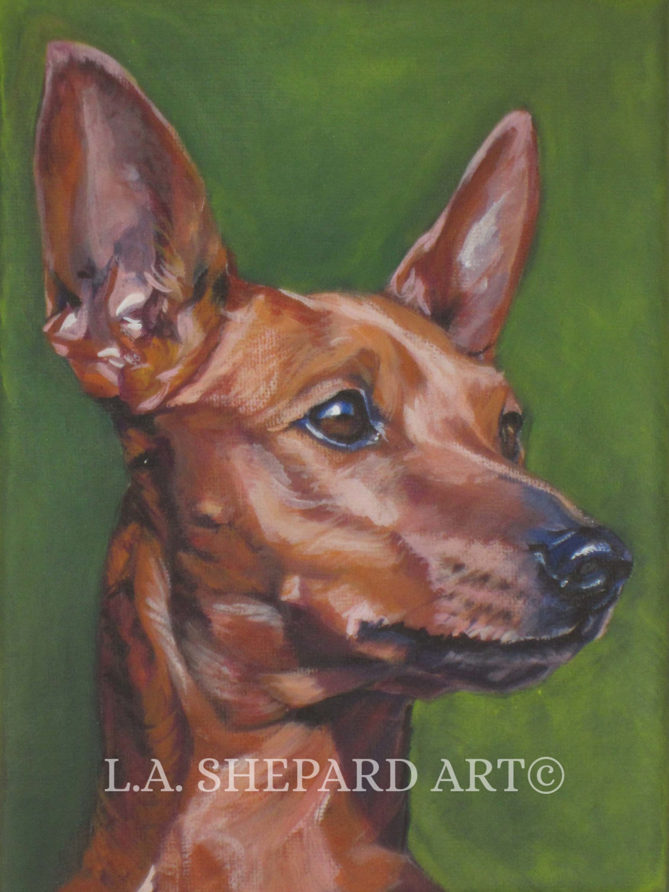 Red Miniature Pinscher