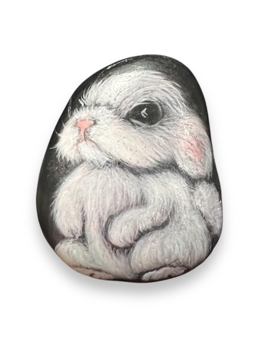 Rabbit Rock Art, Hand Painted With High Quality Acrylics on a Black ...