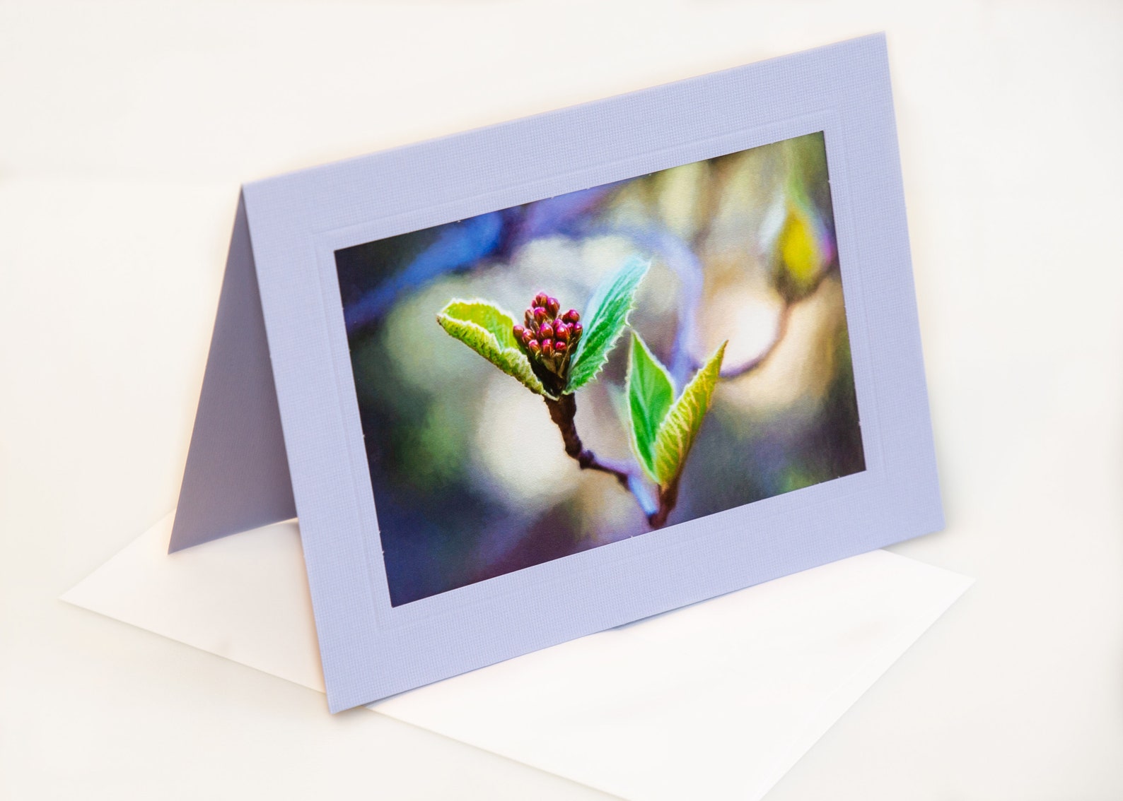 Fine Art Folded Note Card, 5x7 Matted Greeting Card With 4X6 Photo ...