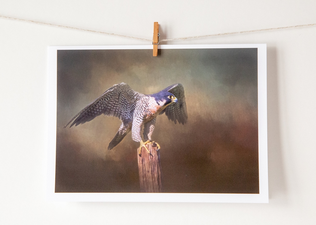 Fine Art Note Card, 4.5X6.25 Greeting Card Blank Inside, Envelope and ...