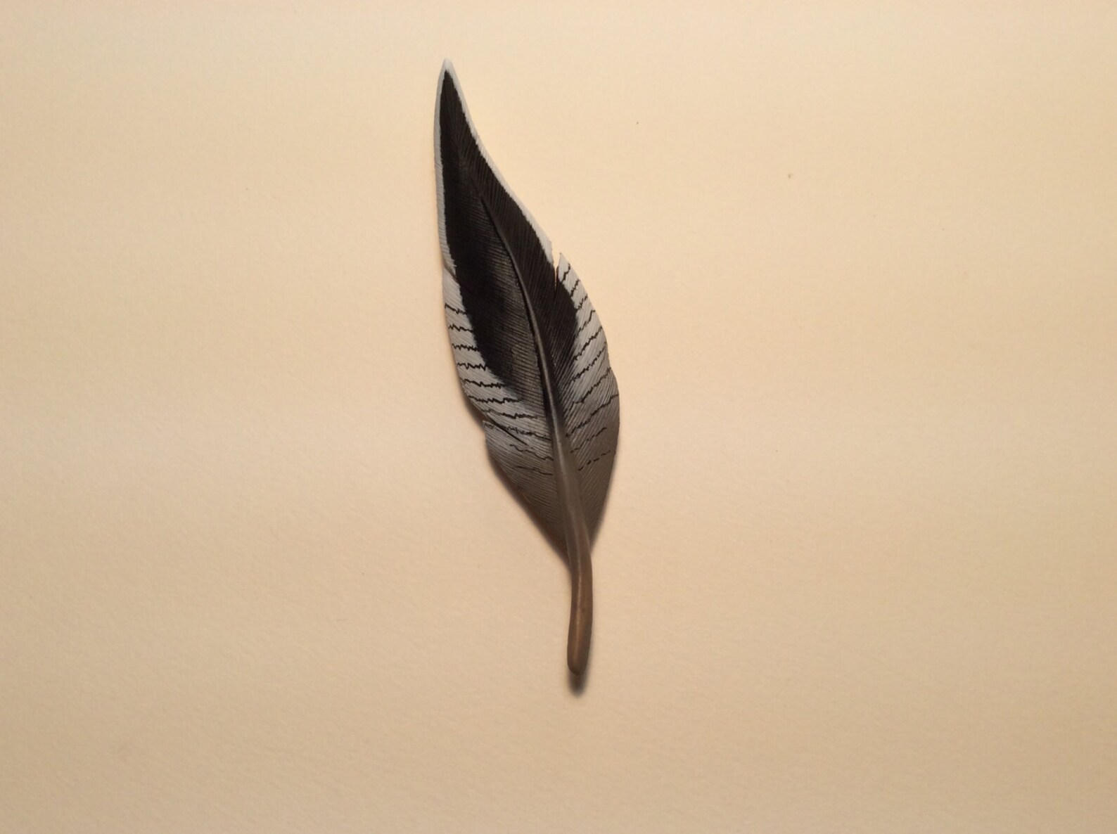 Hand Carved Pintail Drake Feather With Magnet - Etsy